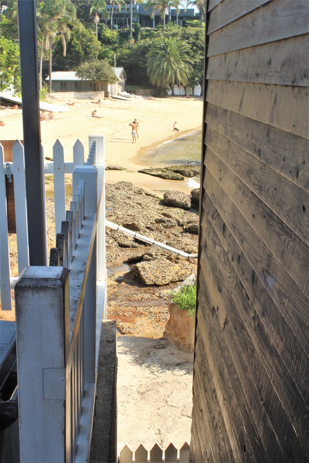 Kutti Beach, Vaucluse: Sydney's Hidden Paradise - Dreaming of Down Under