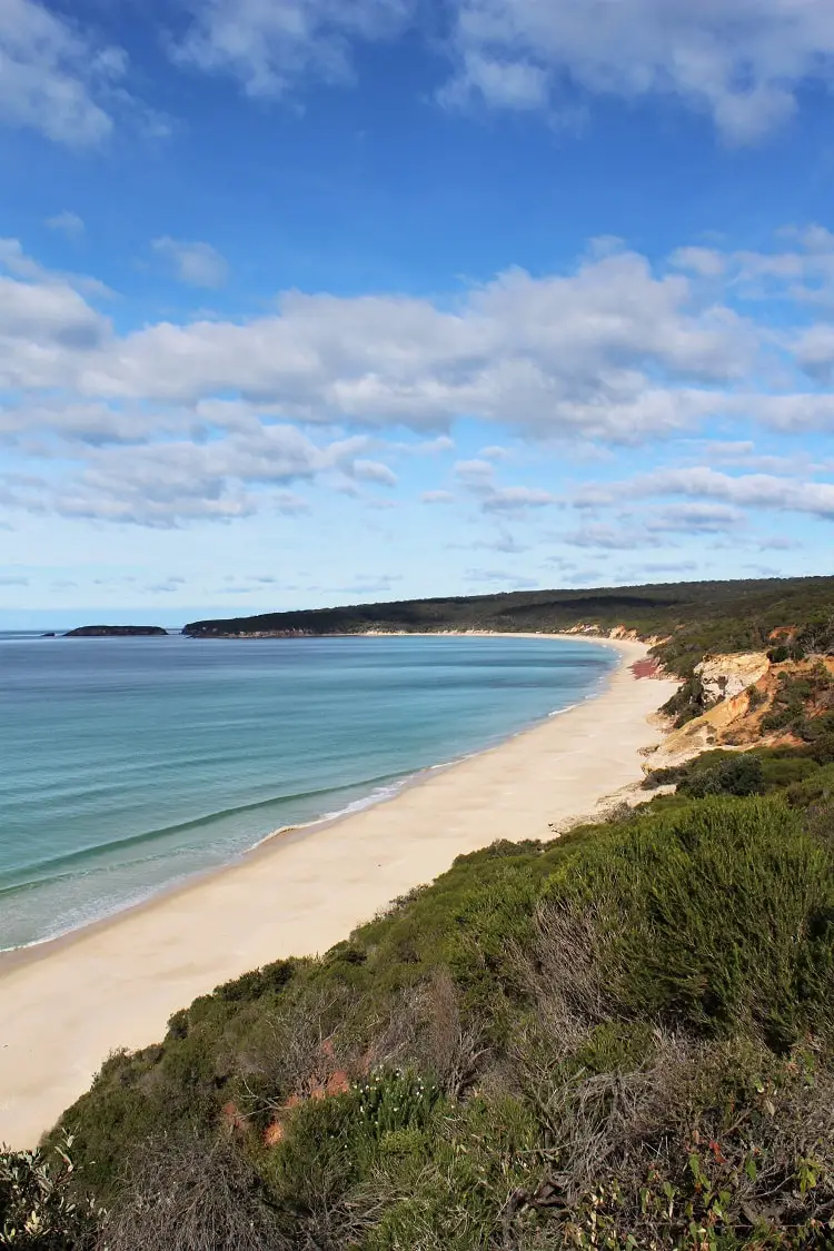 25 Best Beaches in NSW You Have to Visit - Dreaming of Down Under