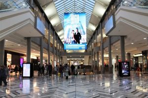 Things to Do in Canberra: 3-Day Itinerary - Dreaming of Down Under