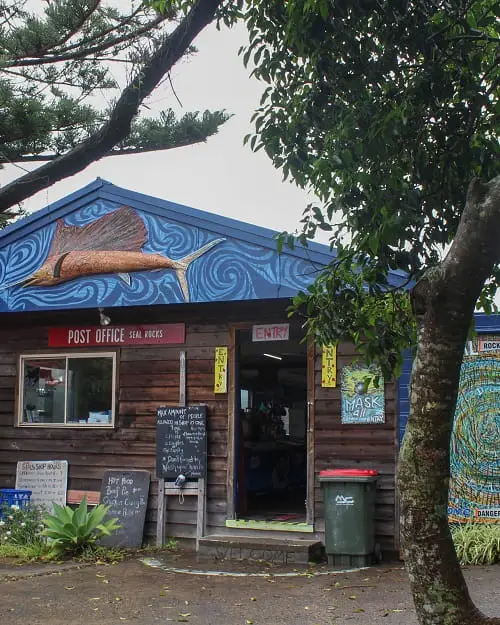 13 Best Things to Do in Forster, NSW - Dreaming of Down Under