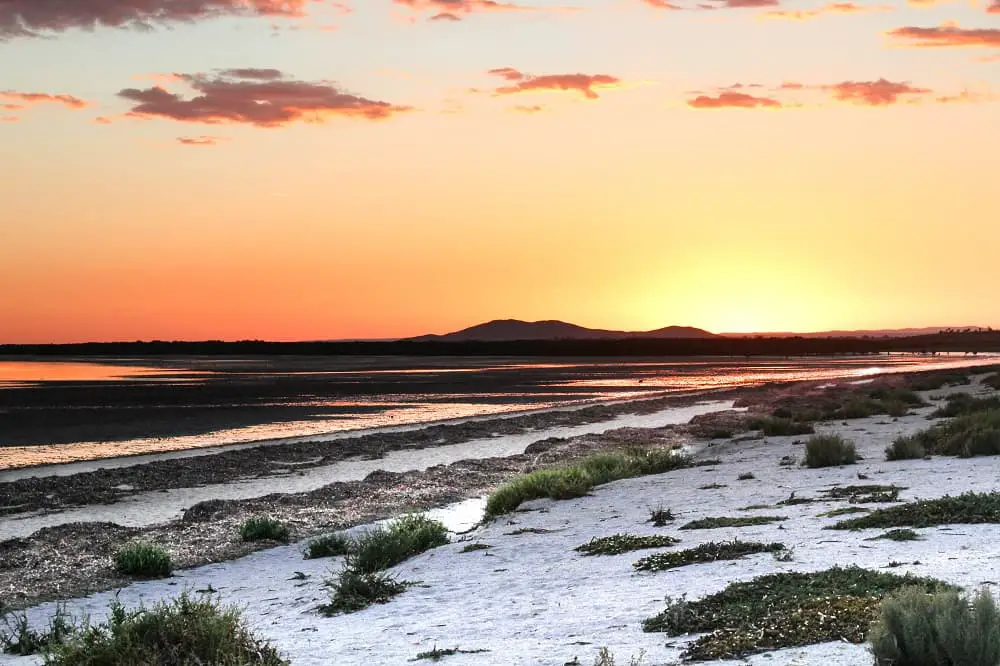 Whyalla South Australia: The Ultimate Guide for 2023