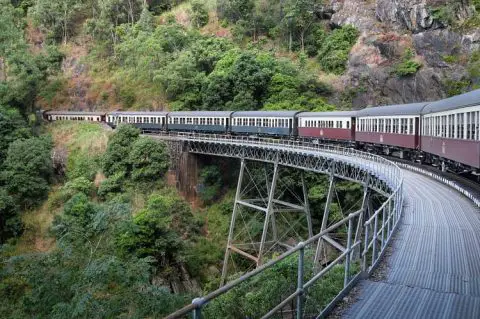 Cairns Skyrail and Train Review | Top Things to Do in Kuranda